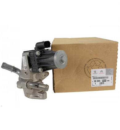 9800555380 Citroen-Ford EGR valve (Genuine citroen) - BDL Original Ltd.