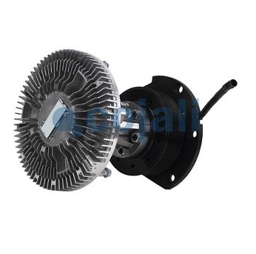 About - BDL Original Ltd.